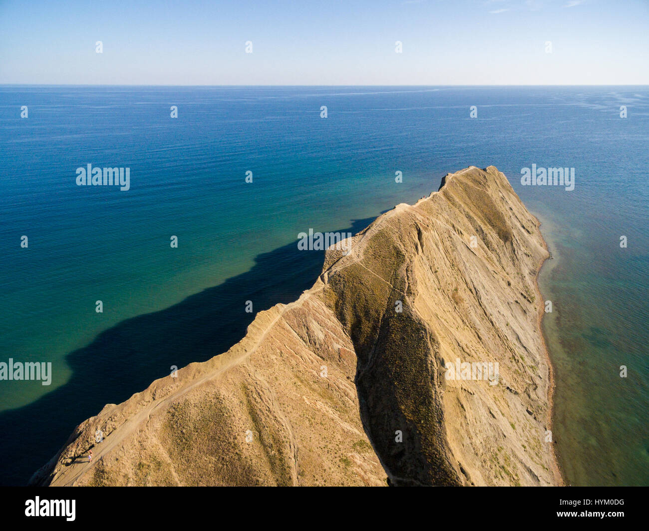 Tree top chameleon hi-res stock photography and images - Alamy