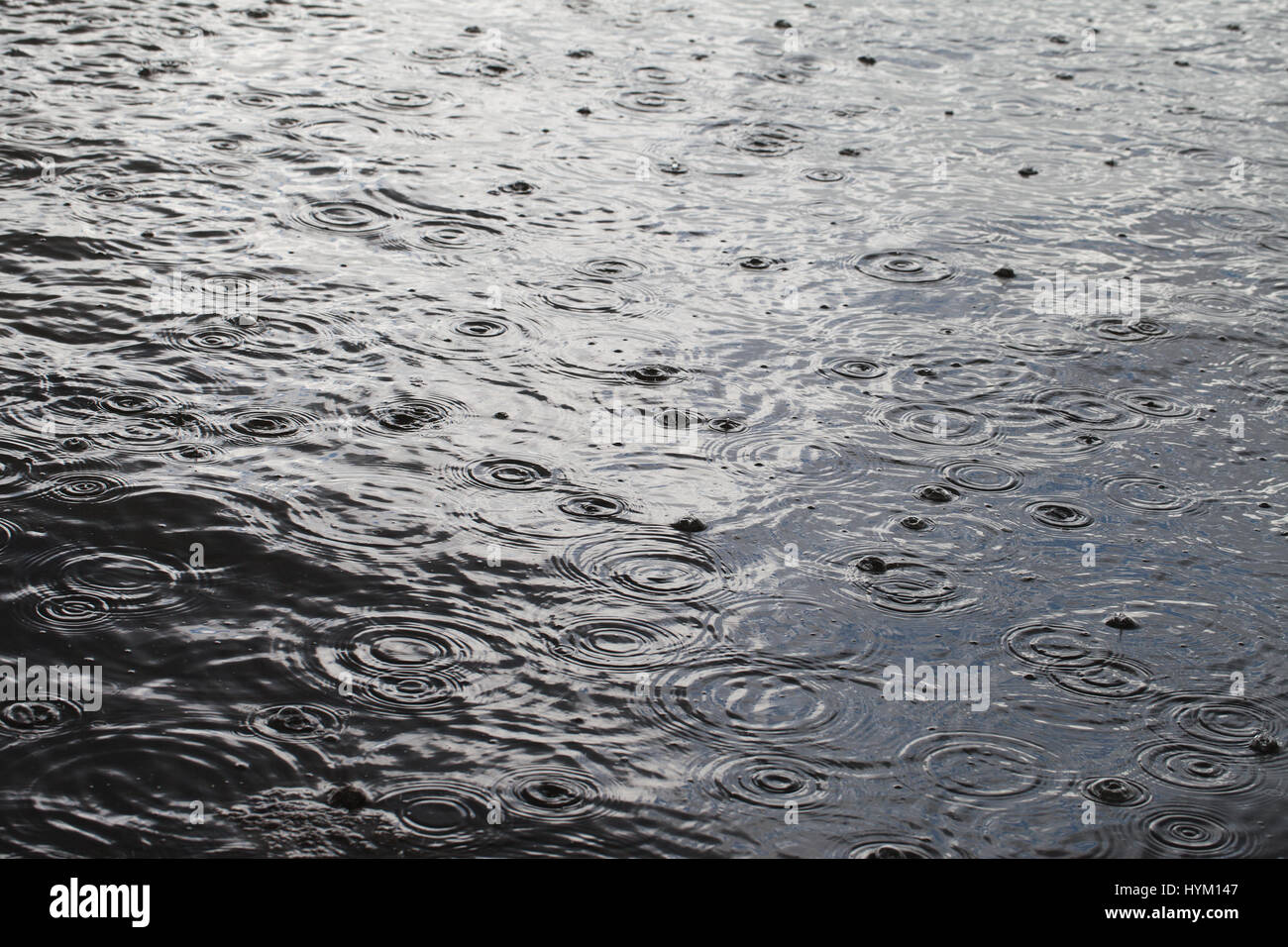 Rain on water surface Stock Photo - Alamy