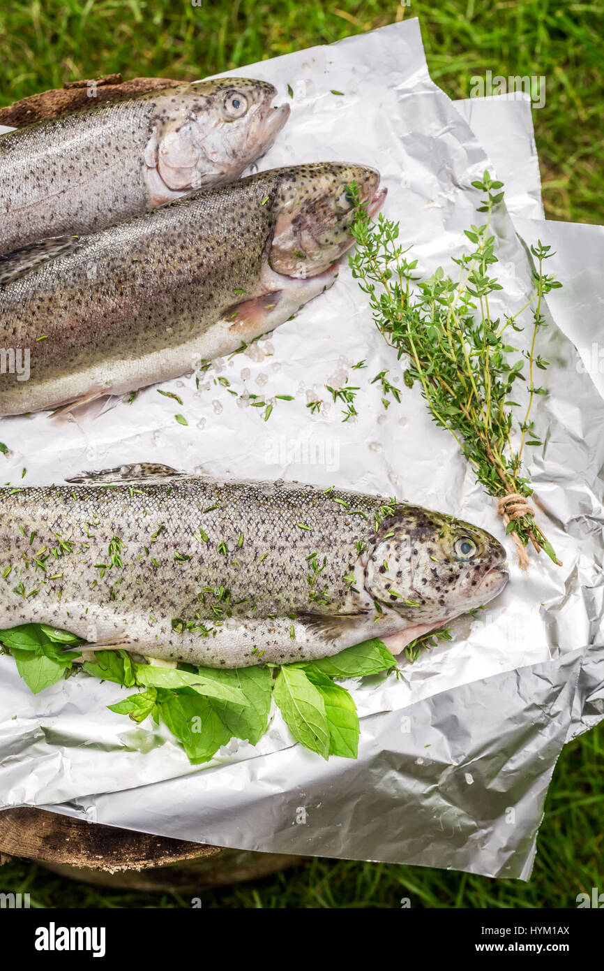 Fresh whole trout for grill in the garden Stock Photo - Alamy