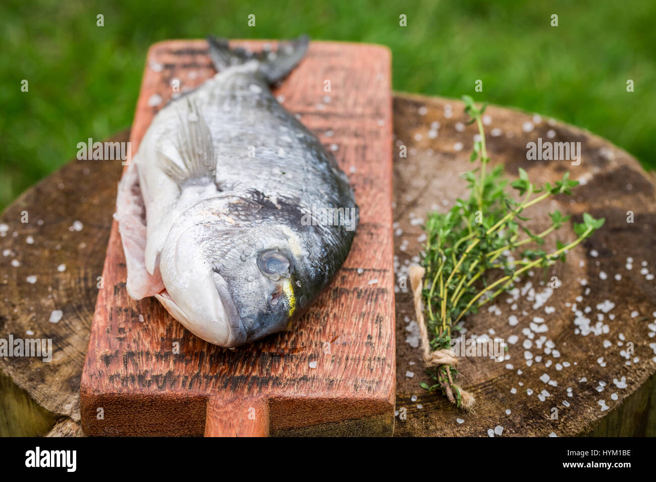 Seasoning whole sea bream with thyme and salt Stock Photo - Alamy