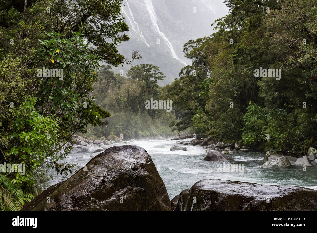 The Cleddau River, Fiordland National Park, South Island, New Zealand ...