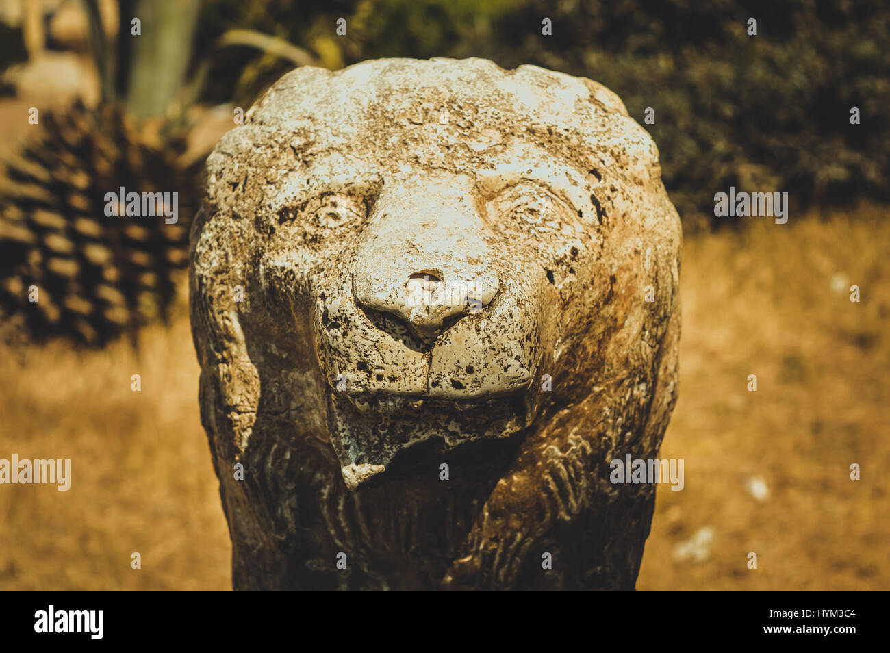 cairo, egypt, february 25,2017: lion statue at cairo citadel background ...