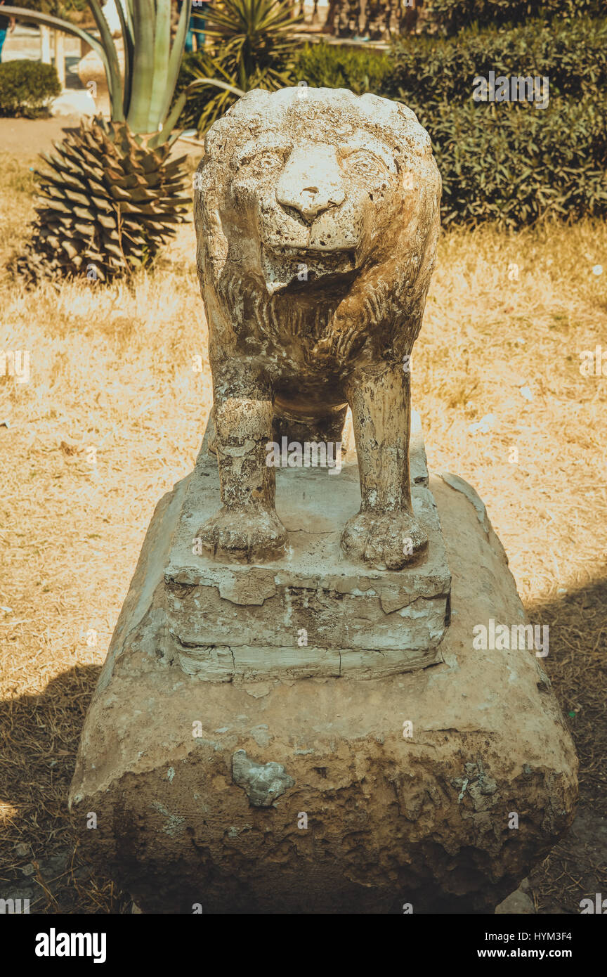 cairo, egypt, february 25,2017: lion statue at cairo citadel background ...