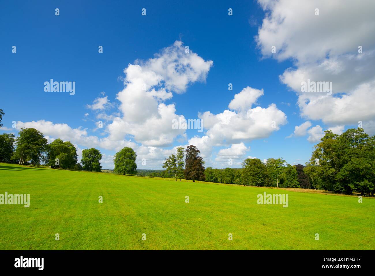 Green meadow with trees in Normandy, France Stock Photo - Alamy