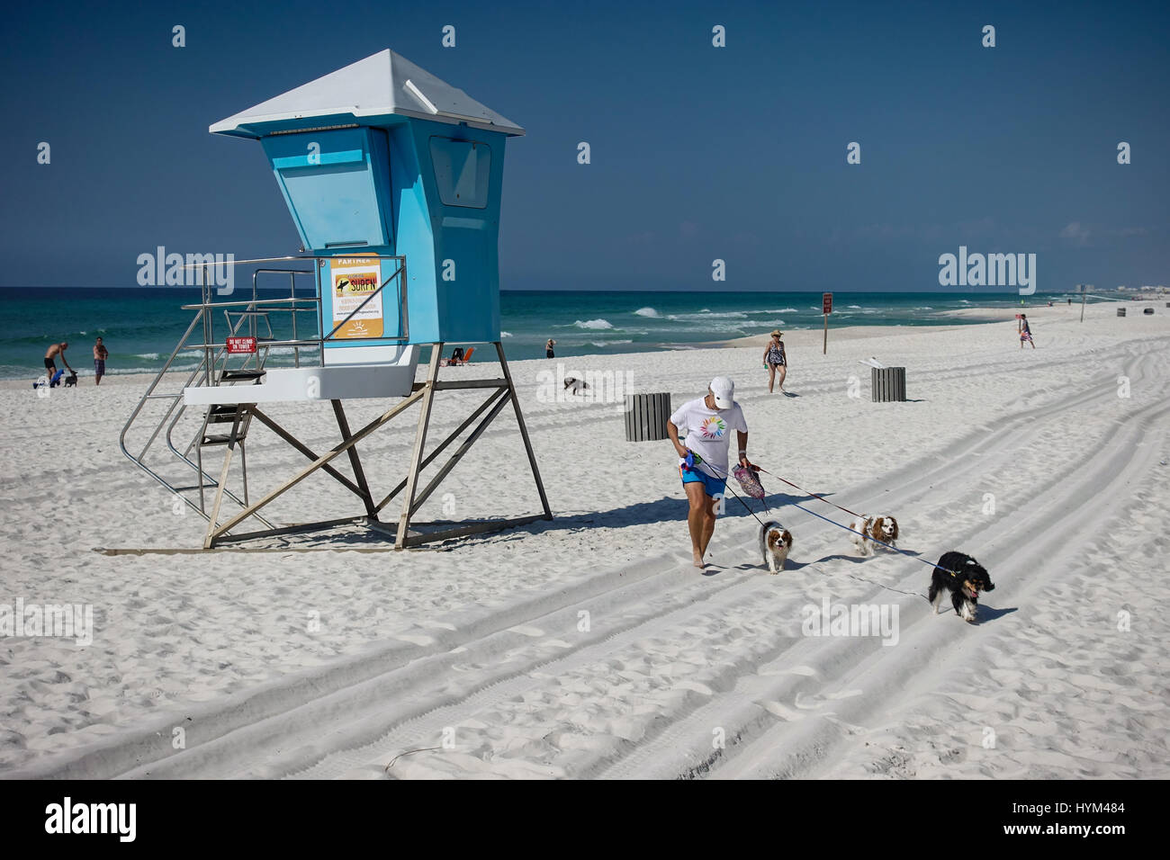 Three dogs being walked past an angular blue lifeguard watchtower at ...
