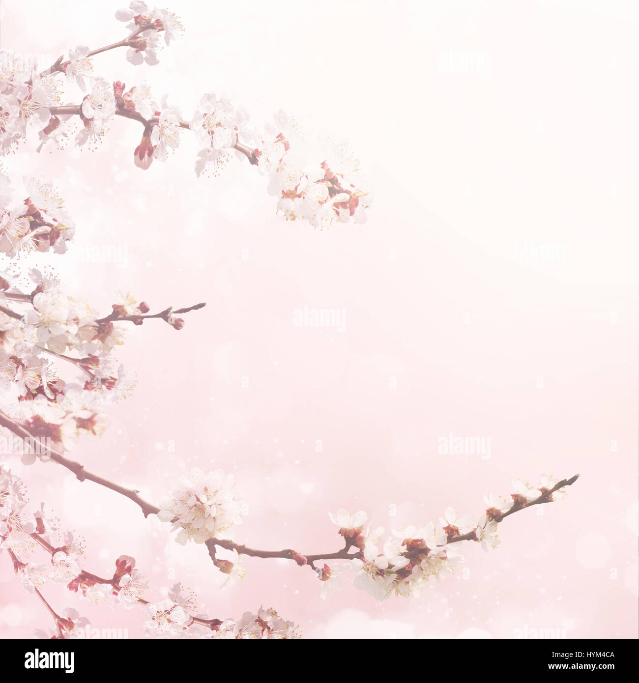 Abstract spring background Stock Photo - Alamy