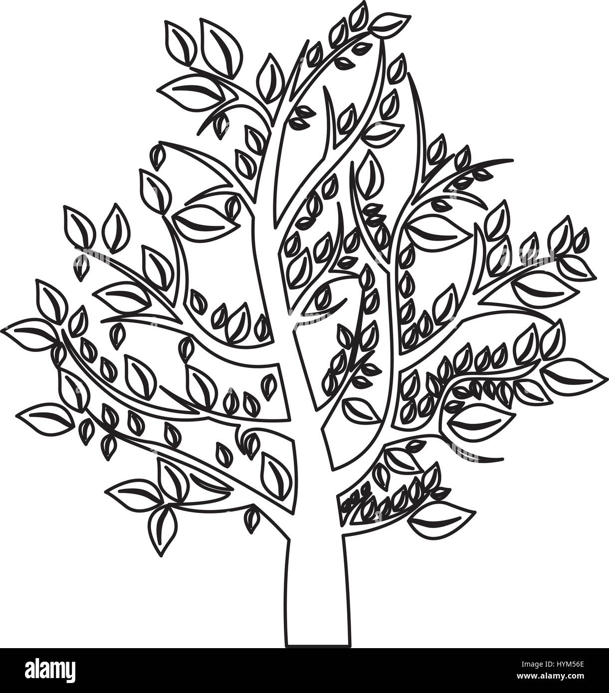 beautiful tree line icon Stock Vector Image & Art - Alamy