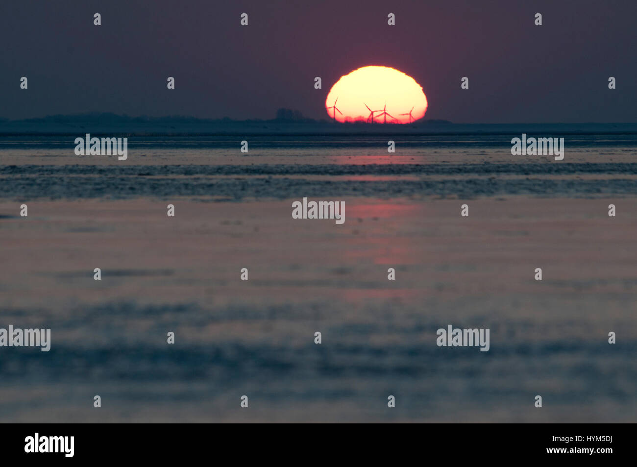 The orange sun setting in the sea Stock Photo - Alamy