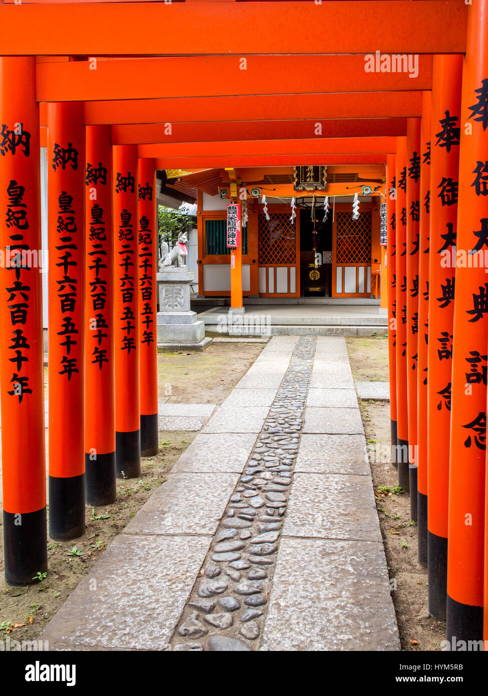 Red torii line path to small Shinto shrine, Shide sacred white zig-zag ...