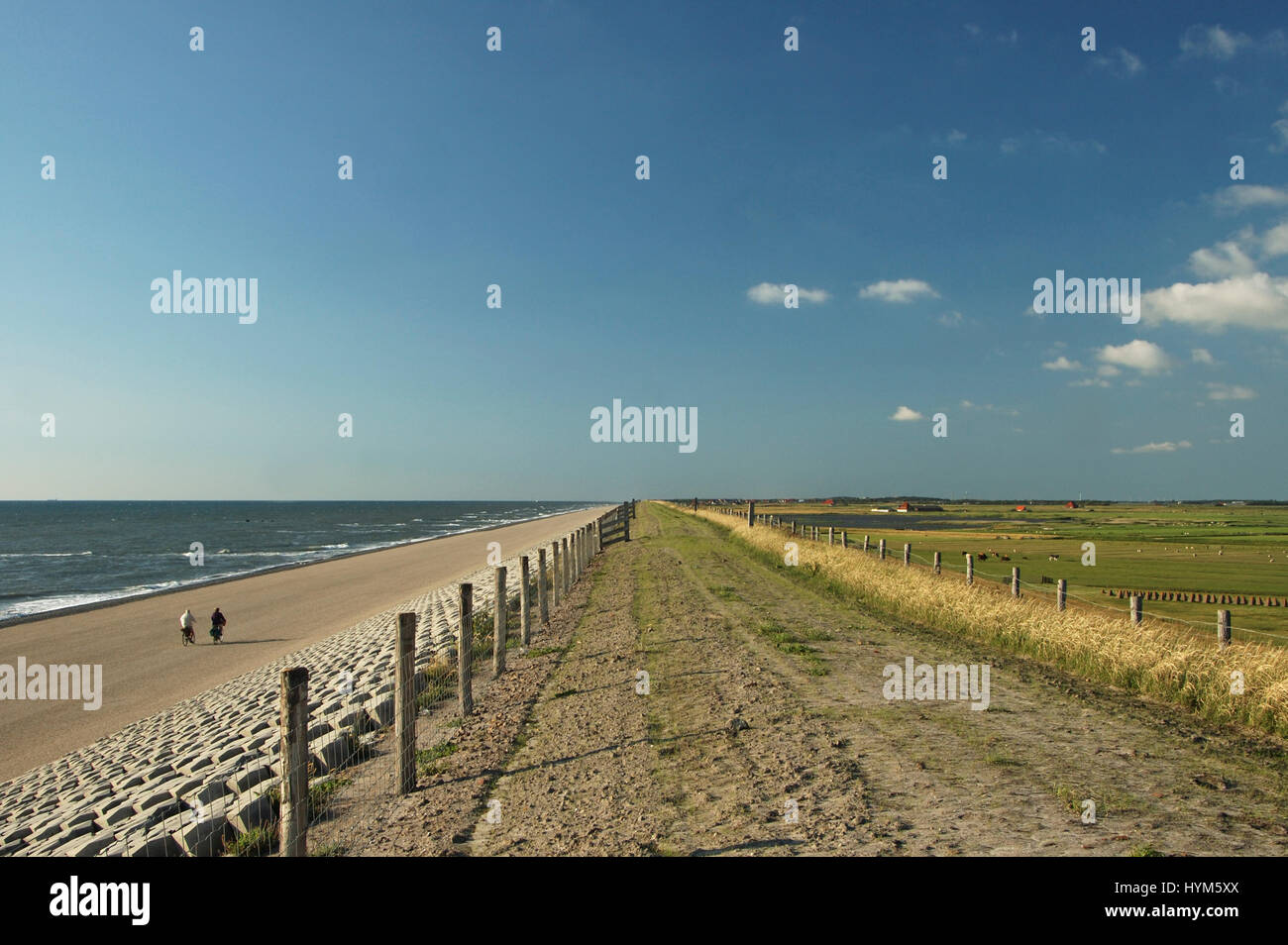 A beautiful day at the Dutch beaches Stock Photo - Alamy