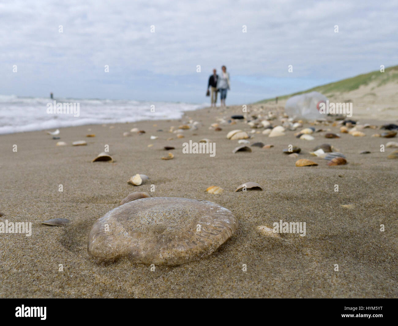 Dutch beaches hi-res stock photography and images - Alamy