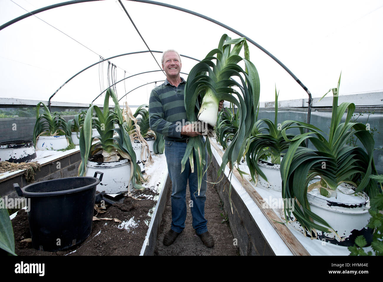 Man holding leek hi-res stock photography and images - Alamy