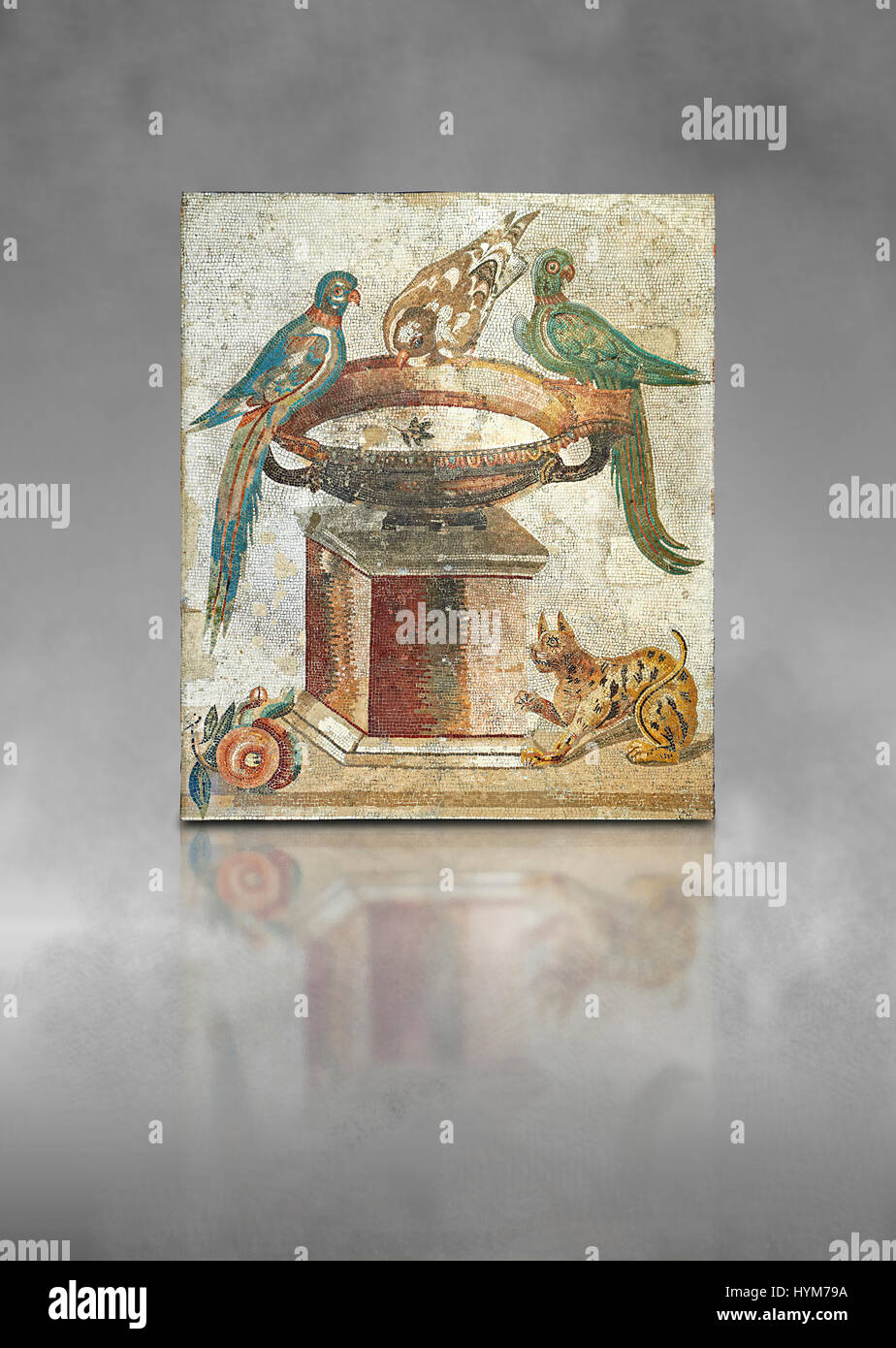 Roman mosaic of drinking birds from Santa Maria Capua Vetere, ancient ...