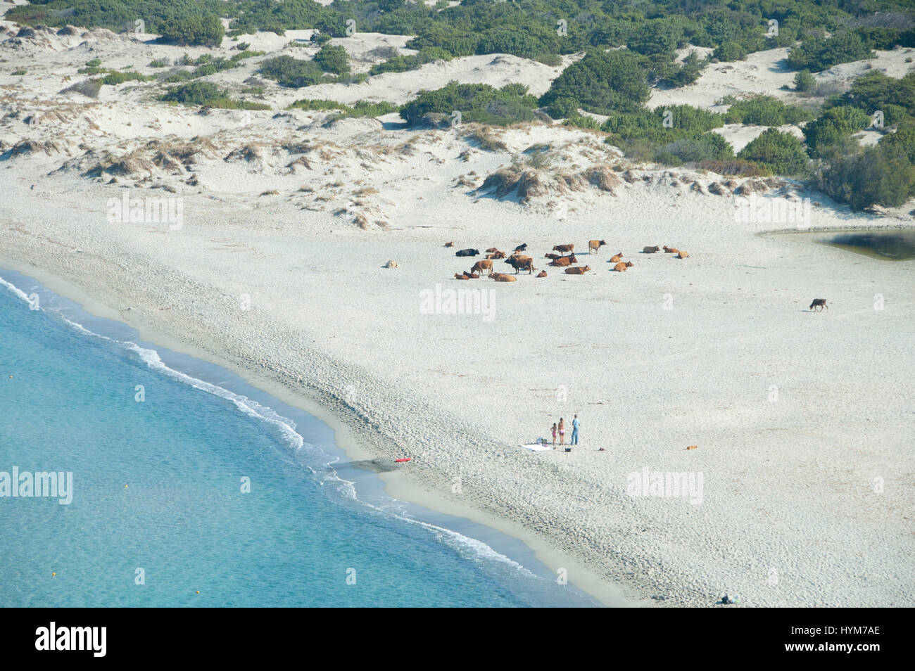 The beautiful beaches on the island Corisica Stock Photo - Alamy