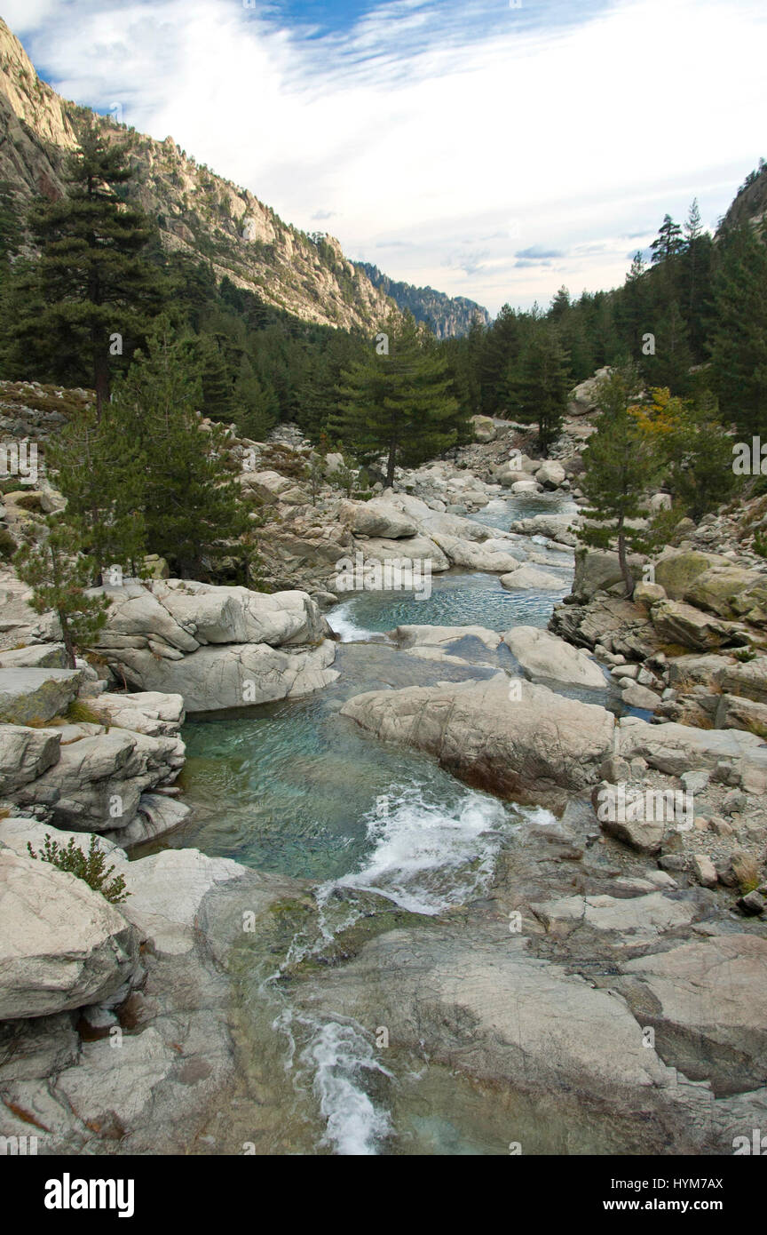 A beautiful streaming river on the island Corsica Stock Photo - Alamy