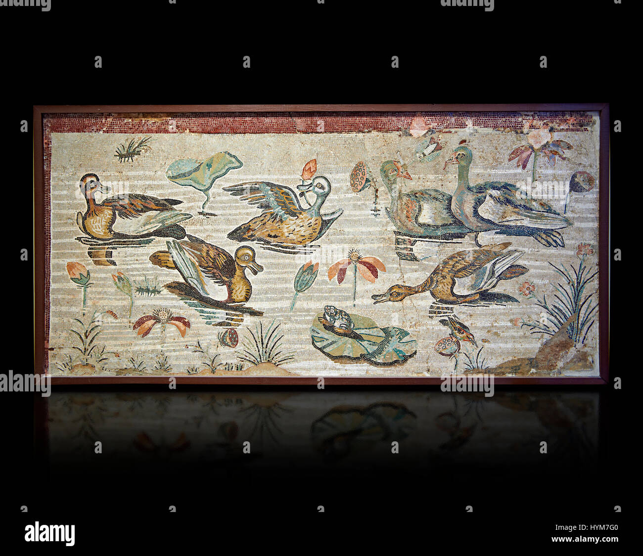 Roman mosaic of Ducks from Pompeii, Naples Archaeological Musum, Italy ...