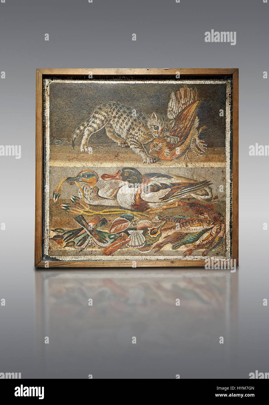 Roman mosaic of a cat catching a bird from Pompeii, Naples ...