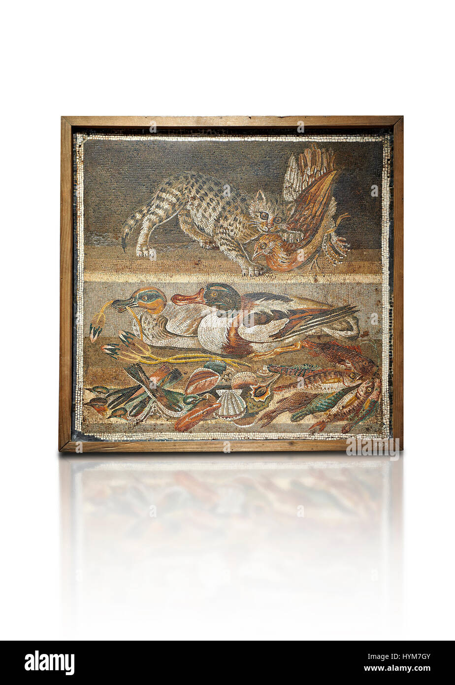 Roman mosaic of a cat catching a bird from Pompeii, Naples ...
