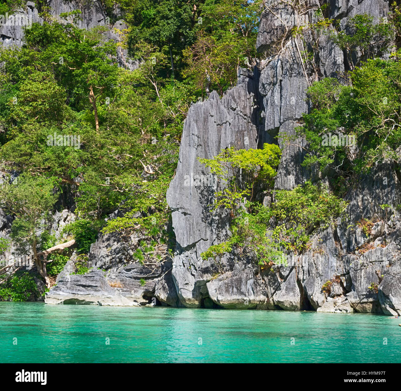 from a boat in philippines snake island near el nido palawan beautiful ...
