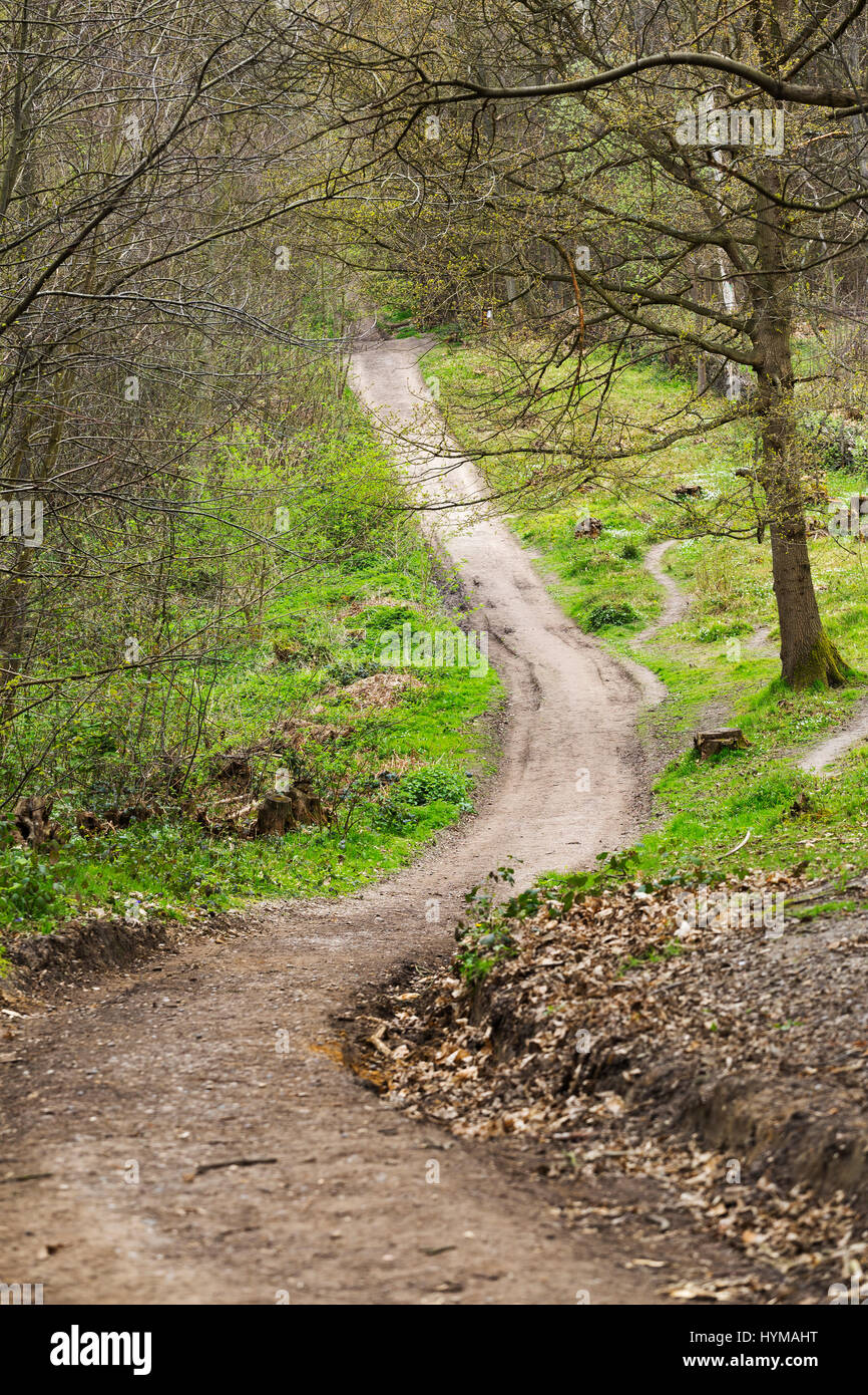 Footpath Through Norsey Woods Stock Photo - Alamy