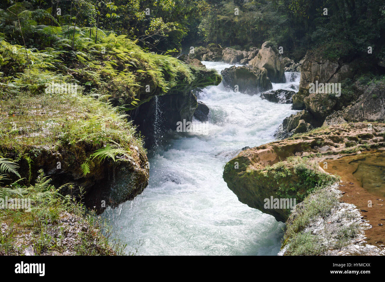 The close up of the Cahabon river going underground and the small ...