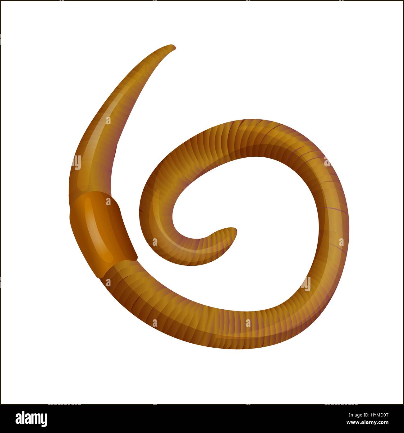 Angleworm vector vectors Stock Vector Images - Alamy