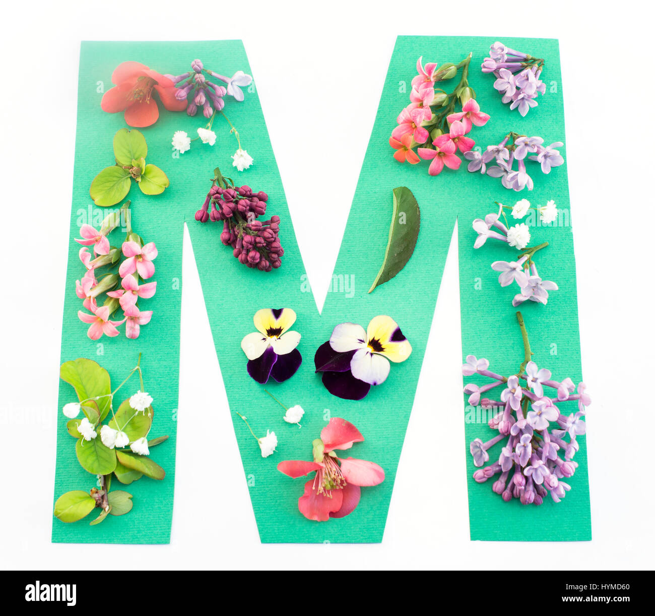 Letter M Made of Spring Flowers and Paper, on White Background Stock ...