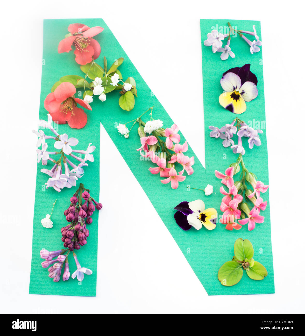 Letter N Made of Spring Flowers and Paper, on White Background Stock ...