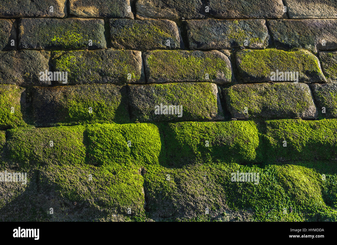 Castle wall with moss hi-res stock photography and images - Alamy