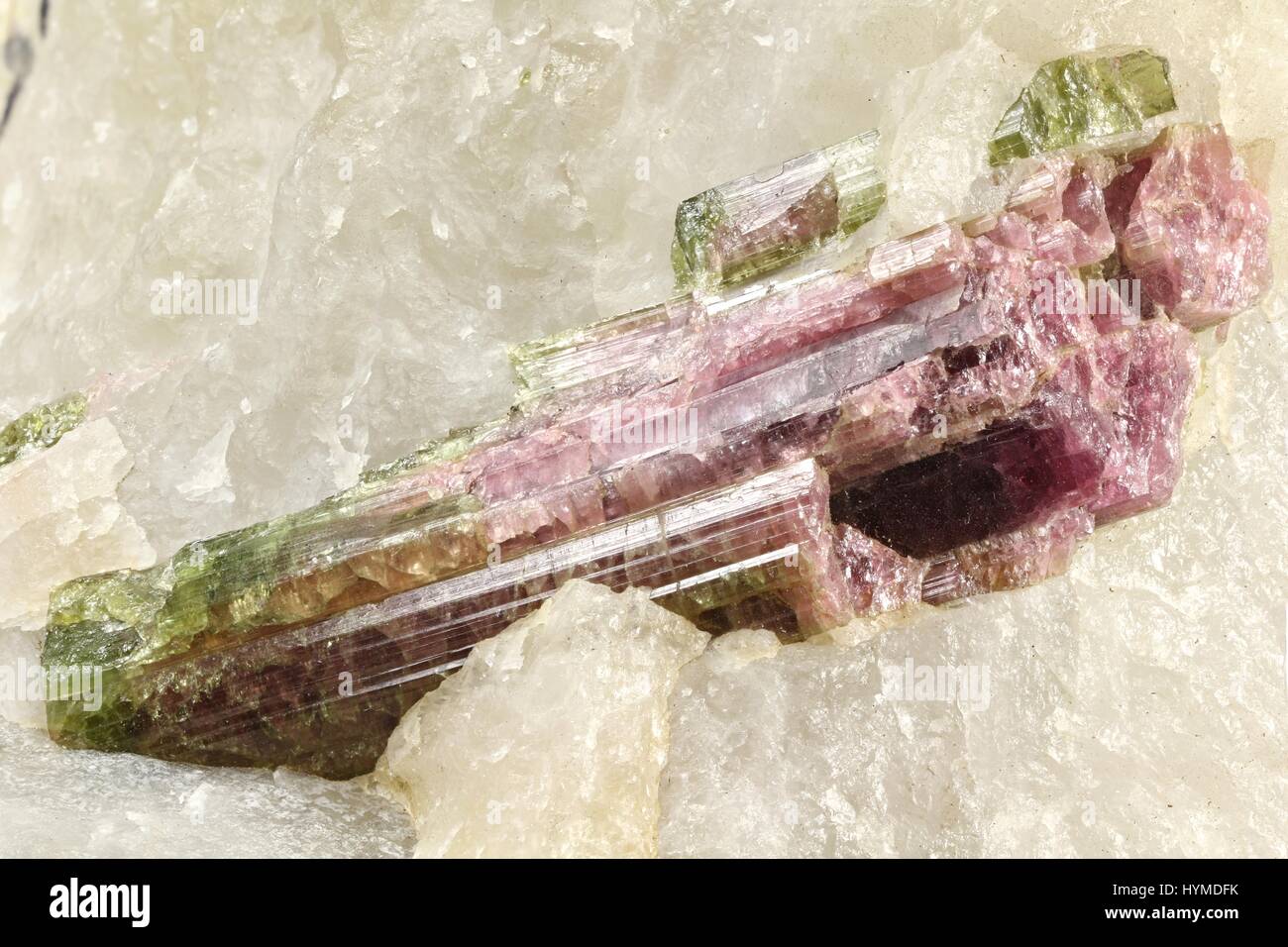watermelon tourmaline on quartz matrix found in Brazil Stock Photo - Alamy