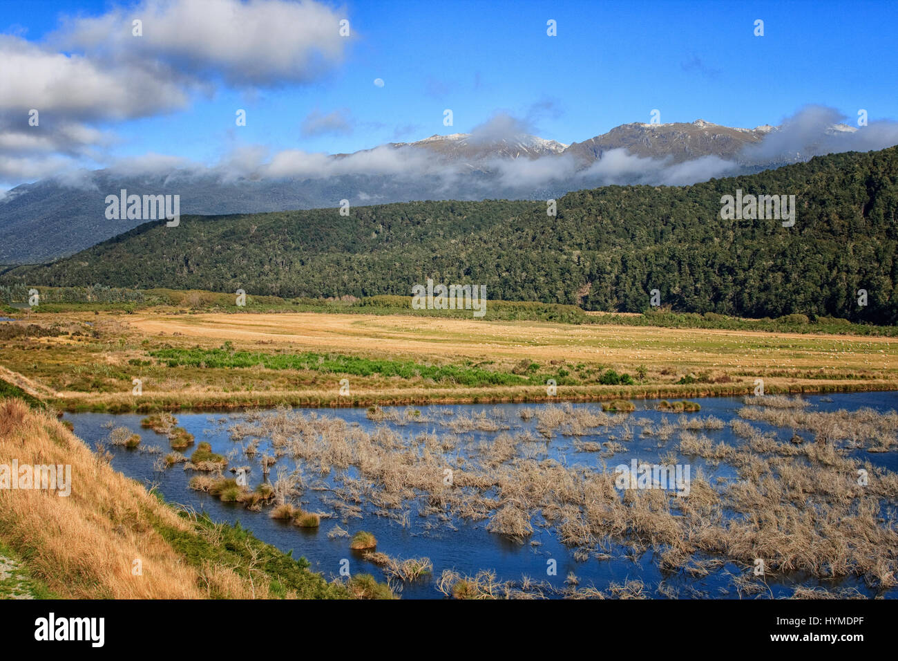 Rakatu Wetlands in New Zealand.These restored wetlands provide an ...