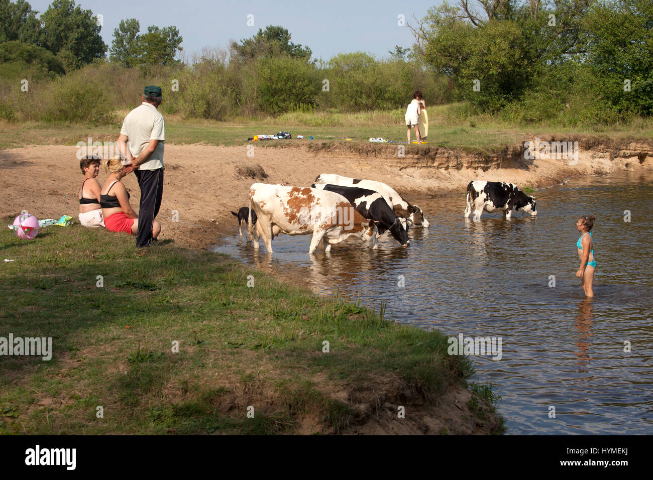 Farmer at beach hi-res stock photography and images - Alamy