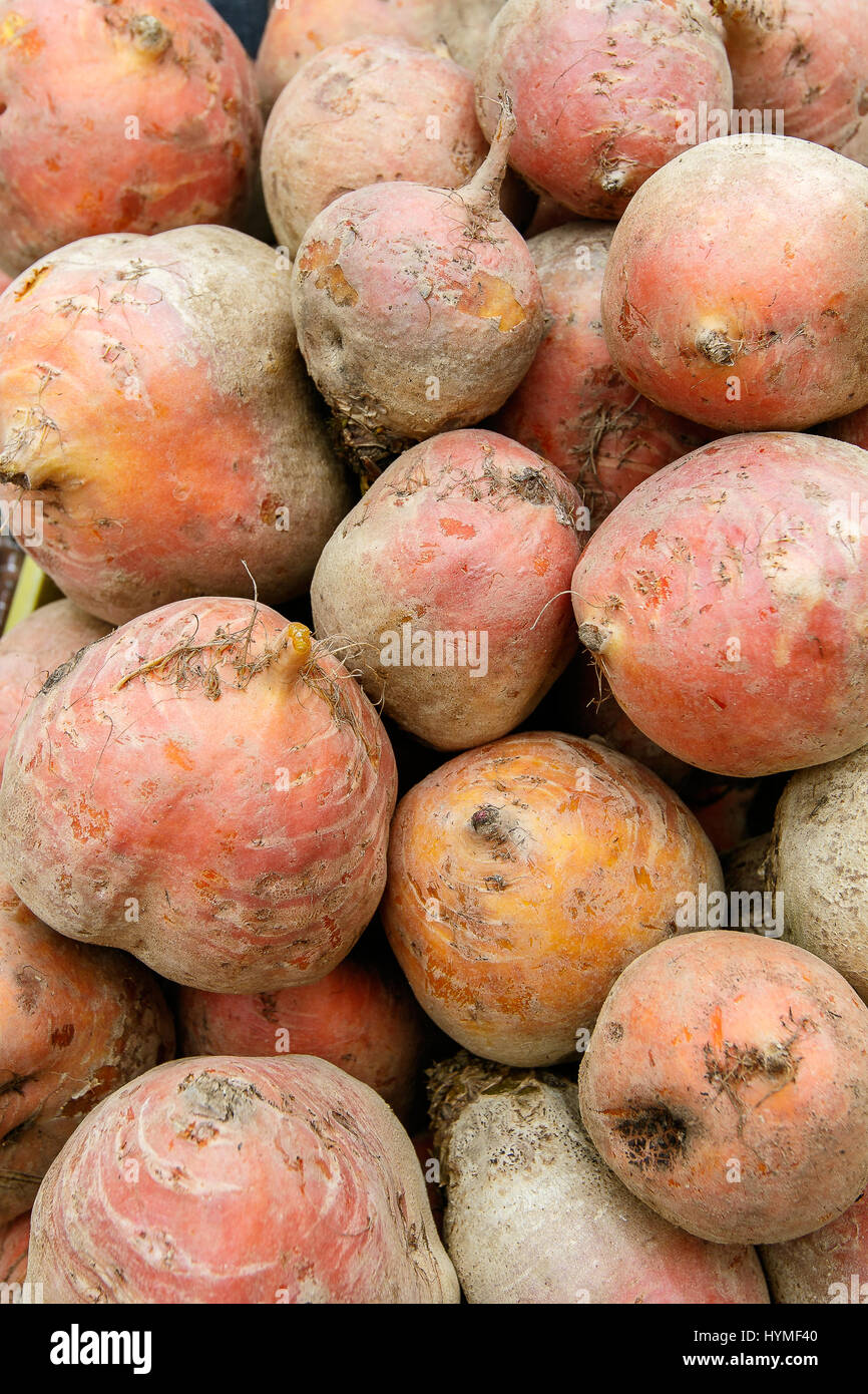 Rutabaga hi-res stock photography and images - Alamy
