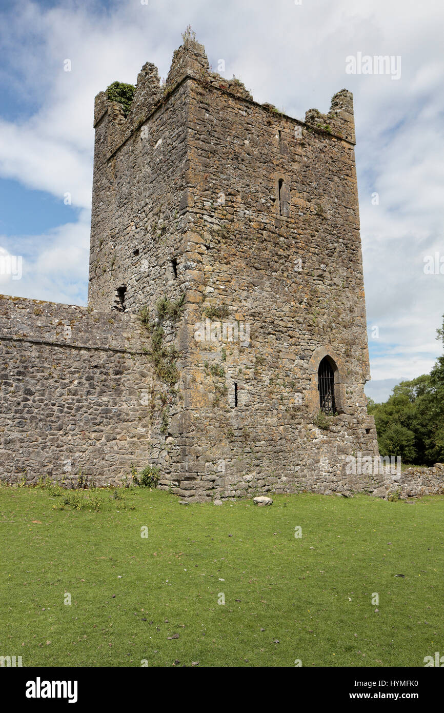 Stone tower ruin within Kells Priory, Kells Priory, an Augustine priory ...