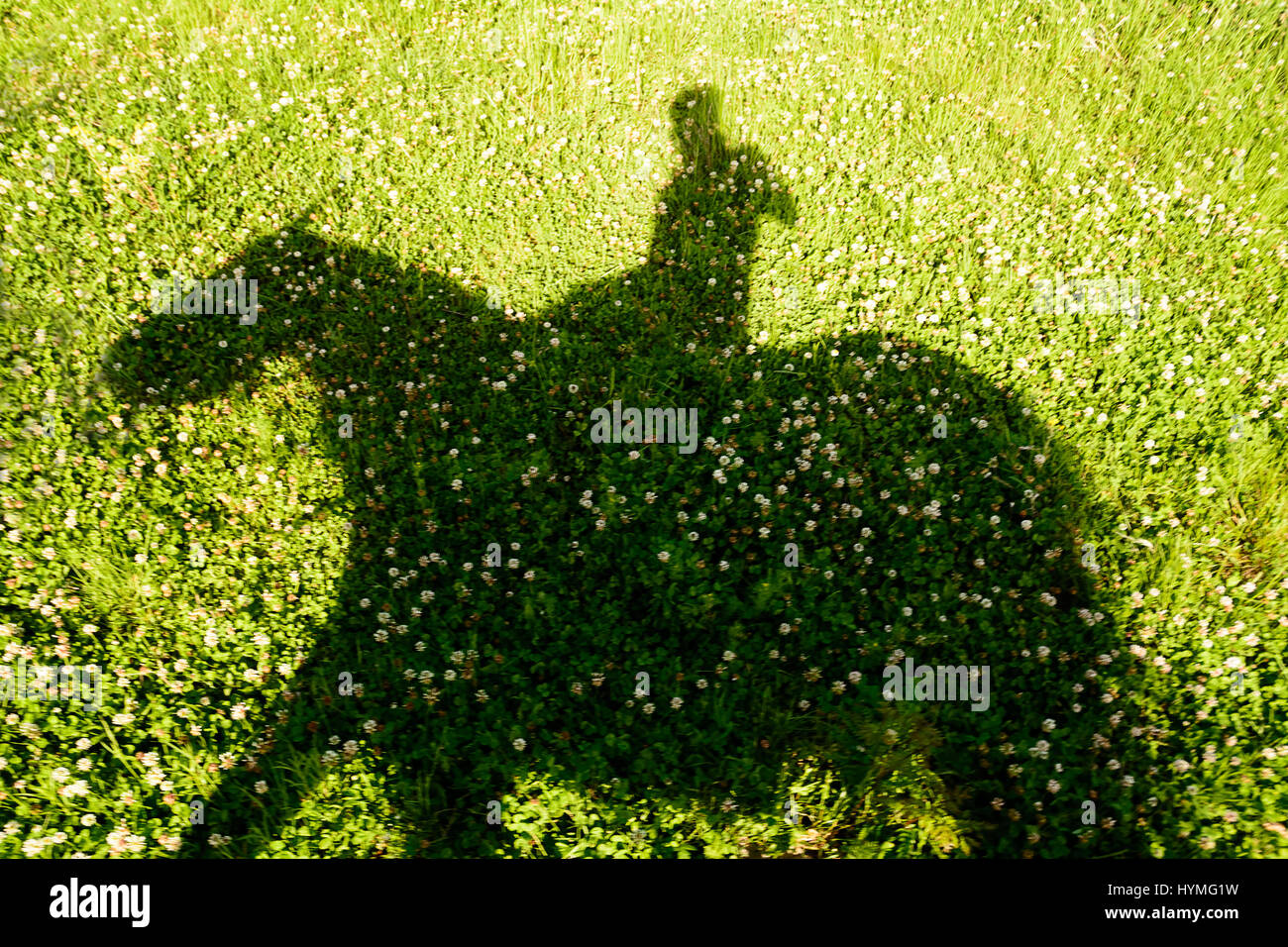 Shadow horse hi-res stock photography and images - Alamy