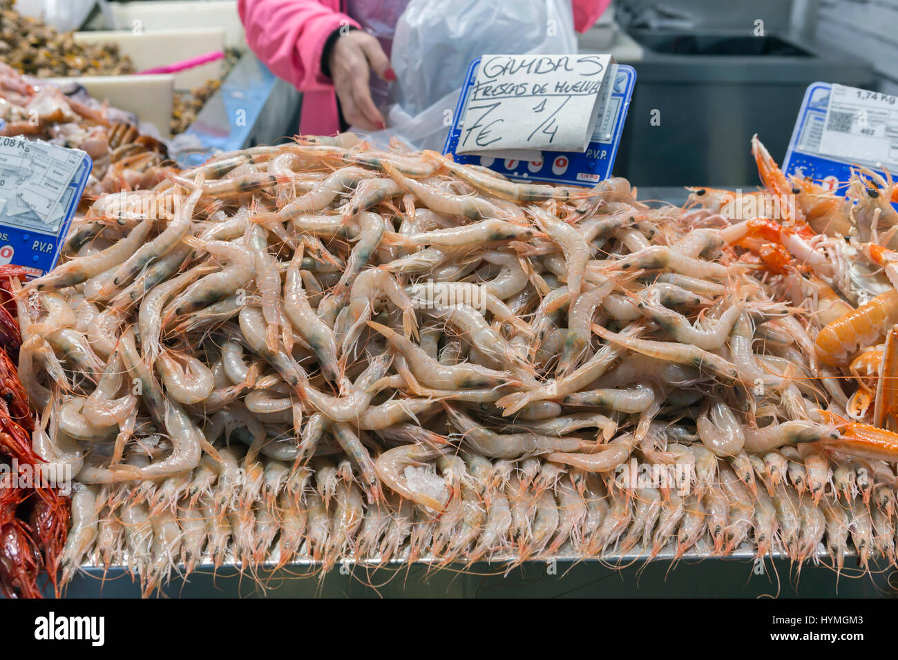 Bunch of Fresh shrimp on the local fish market in Cadiz, Spain Stock ...