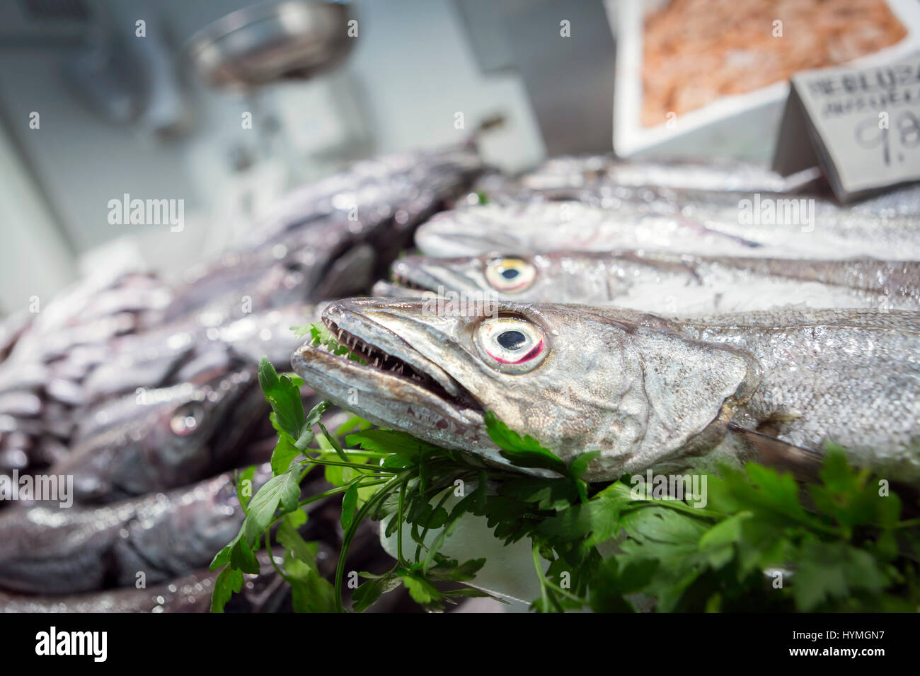 Freshly caught fish at the fish market in Cadiz, Andalucia, Spain Stock ...