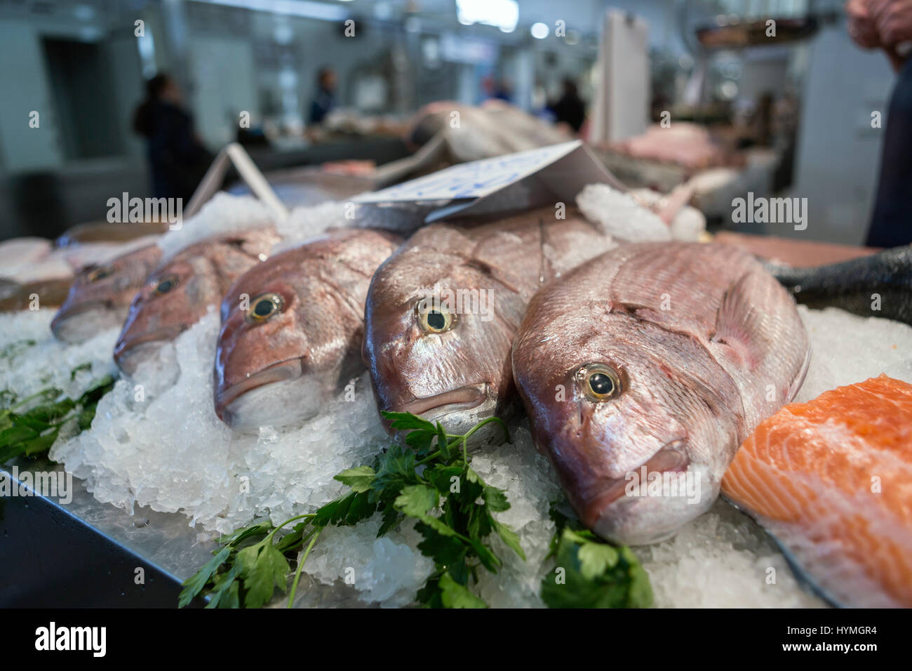 Freshly caught fish at the fish market in Cadiz, Andalucia, Spain Stock ...