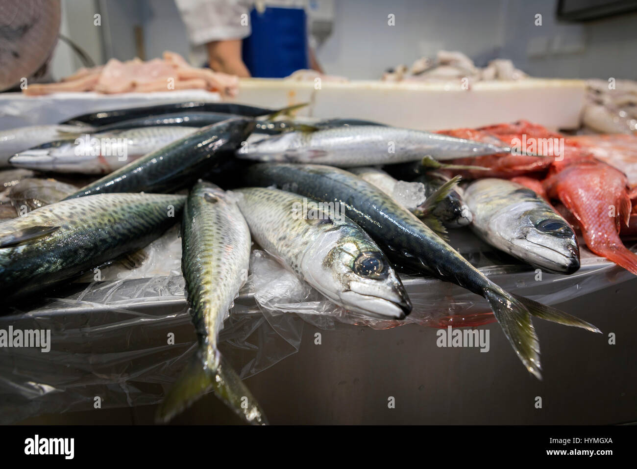 Freshly caught fish at the fish market in Cadiz, Andalucia, Spain Stock ...