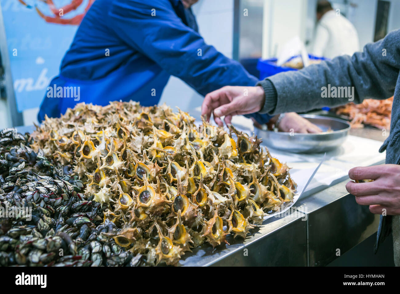 Freshly caught fish at the fish market in Cadiz, Andalucia, Spain Stock ...