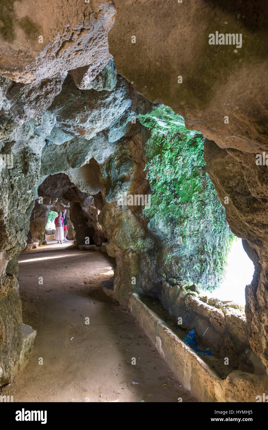 Cave in the Genoves Park, Cadiz, Andalusia, Spain Stock Photo - Alamy