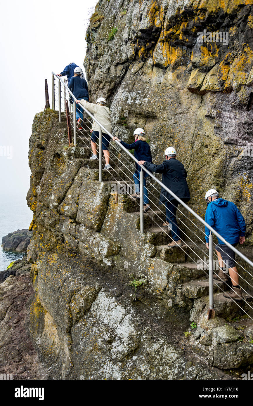 The Gobbins Cliff Path, near Islandmagee, County Antrim, Northern ...