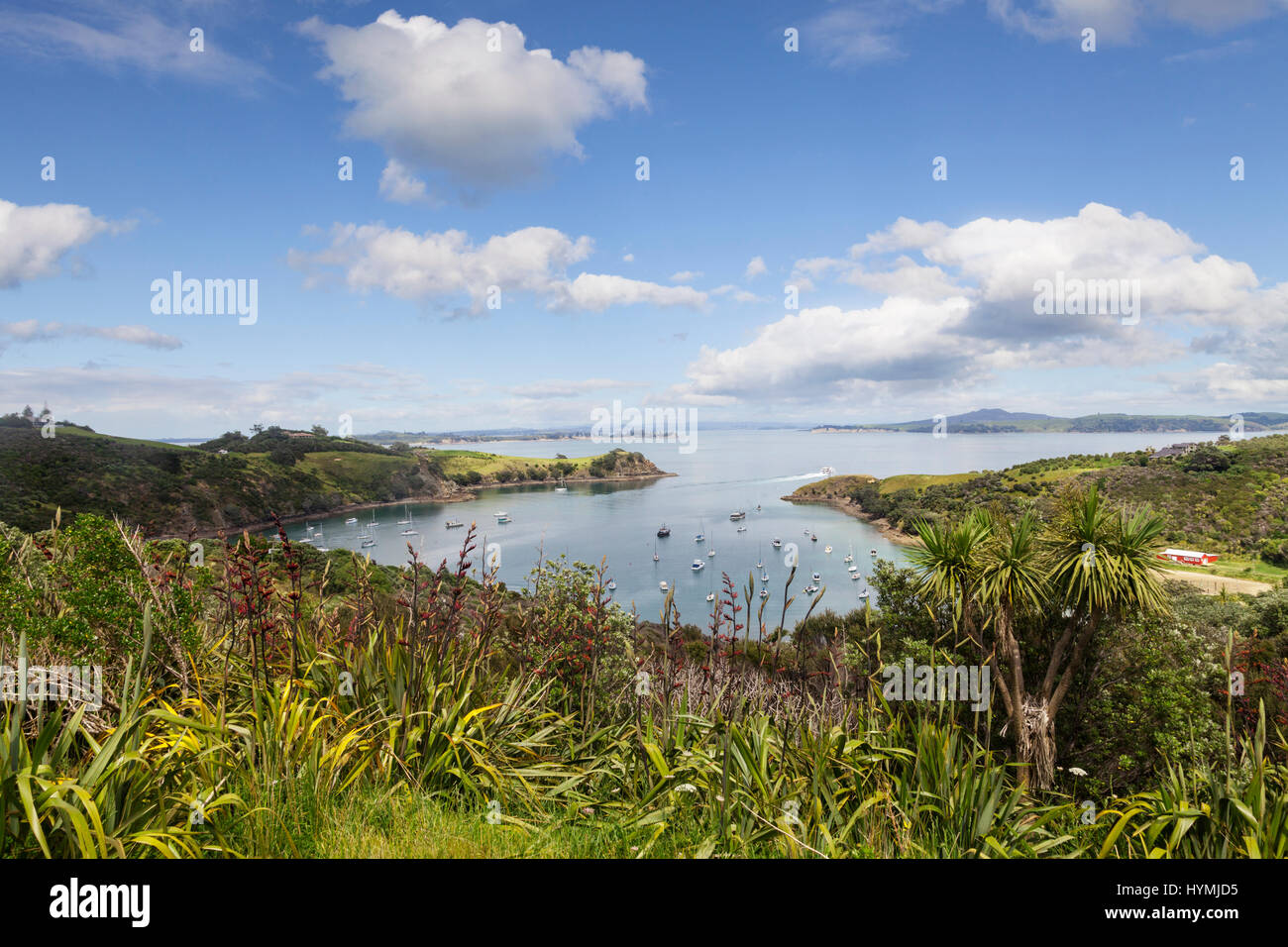 Waiheke island, new zealand hi-res stock photography and images - Alamy
