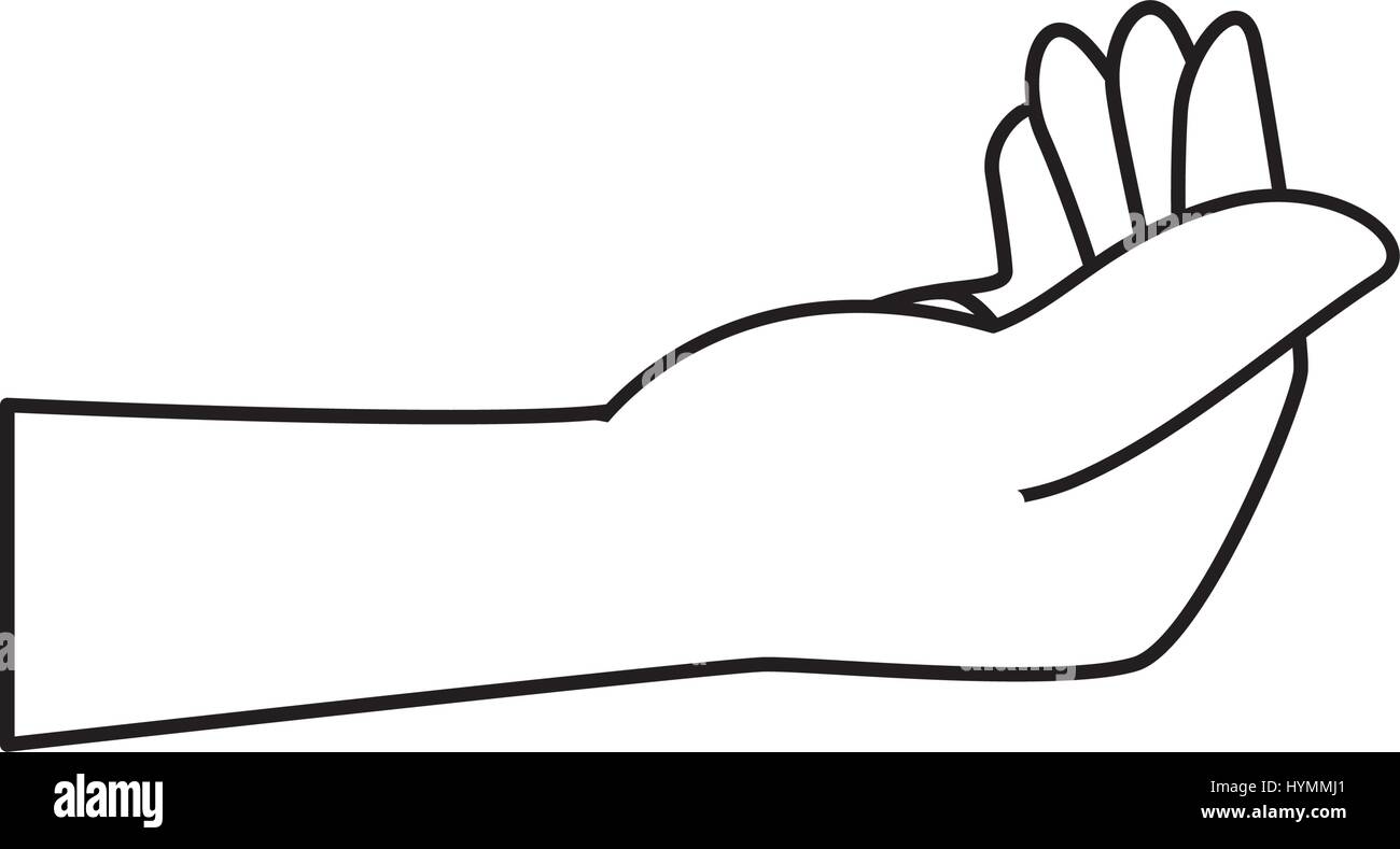 Hand and wrist anatomy vector vectors Black and White Stock Photos ...