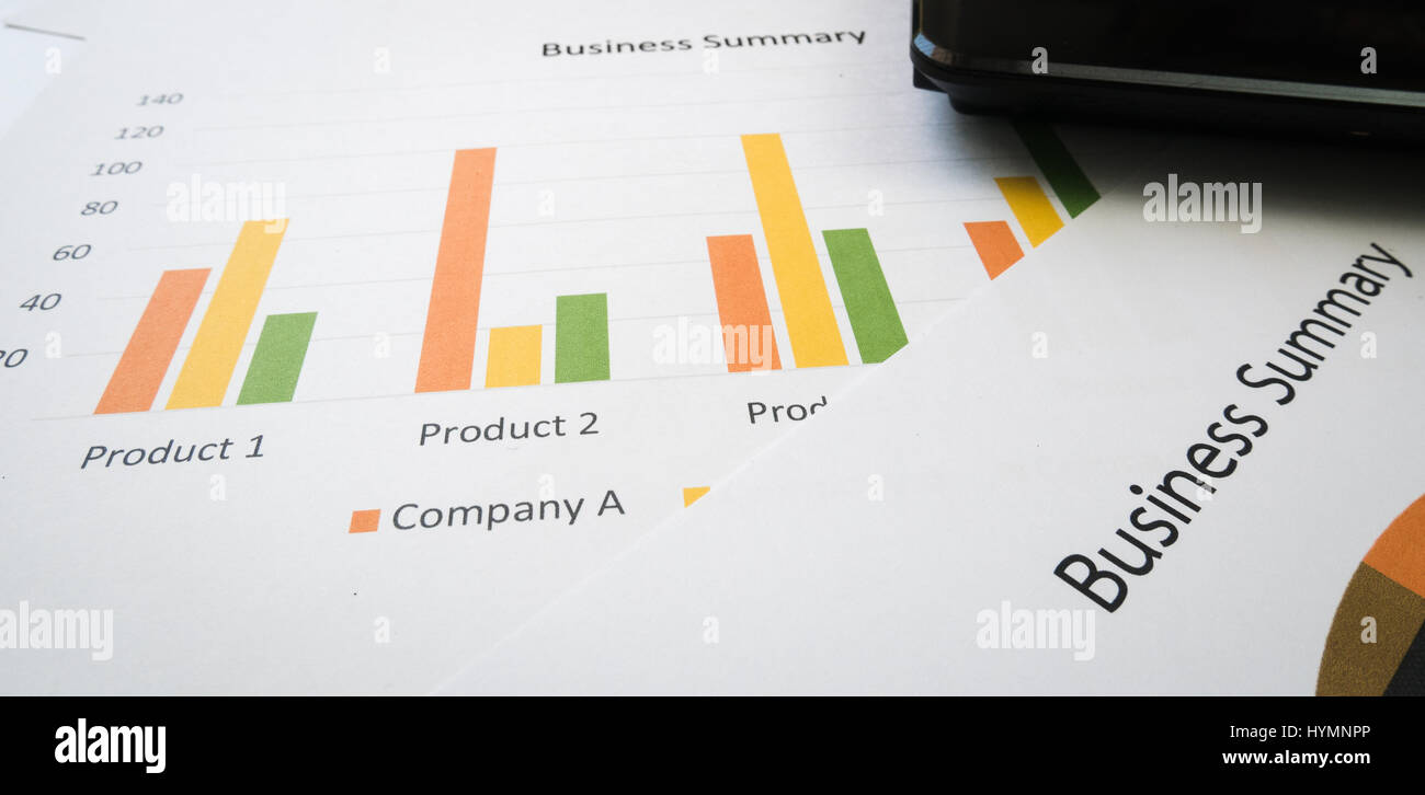 Business summary or Business plan report with Charts and graphs in ...