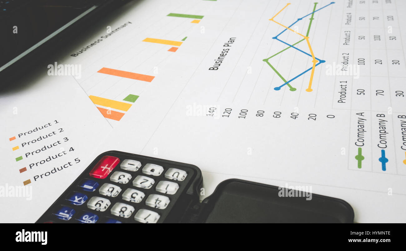 Business summary or Business plan report with Charts and graphs in ...