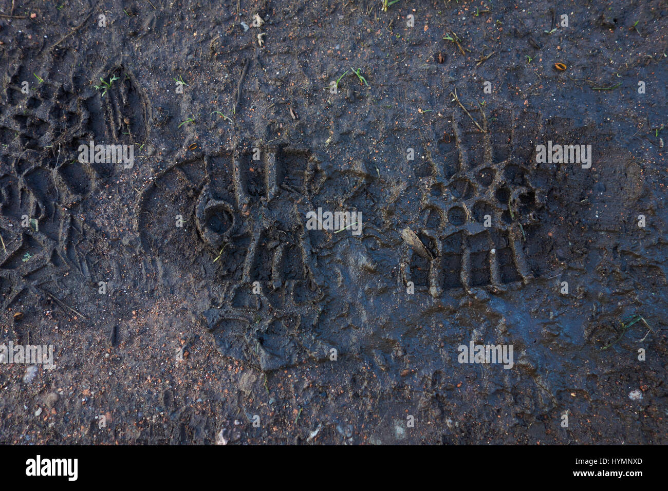 Boot print mud hi-res stock photography and images - Alamy