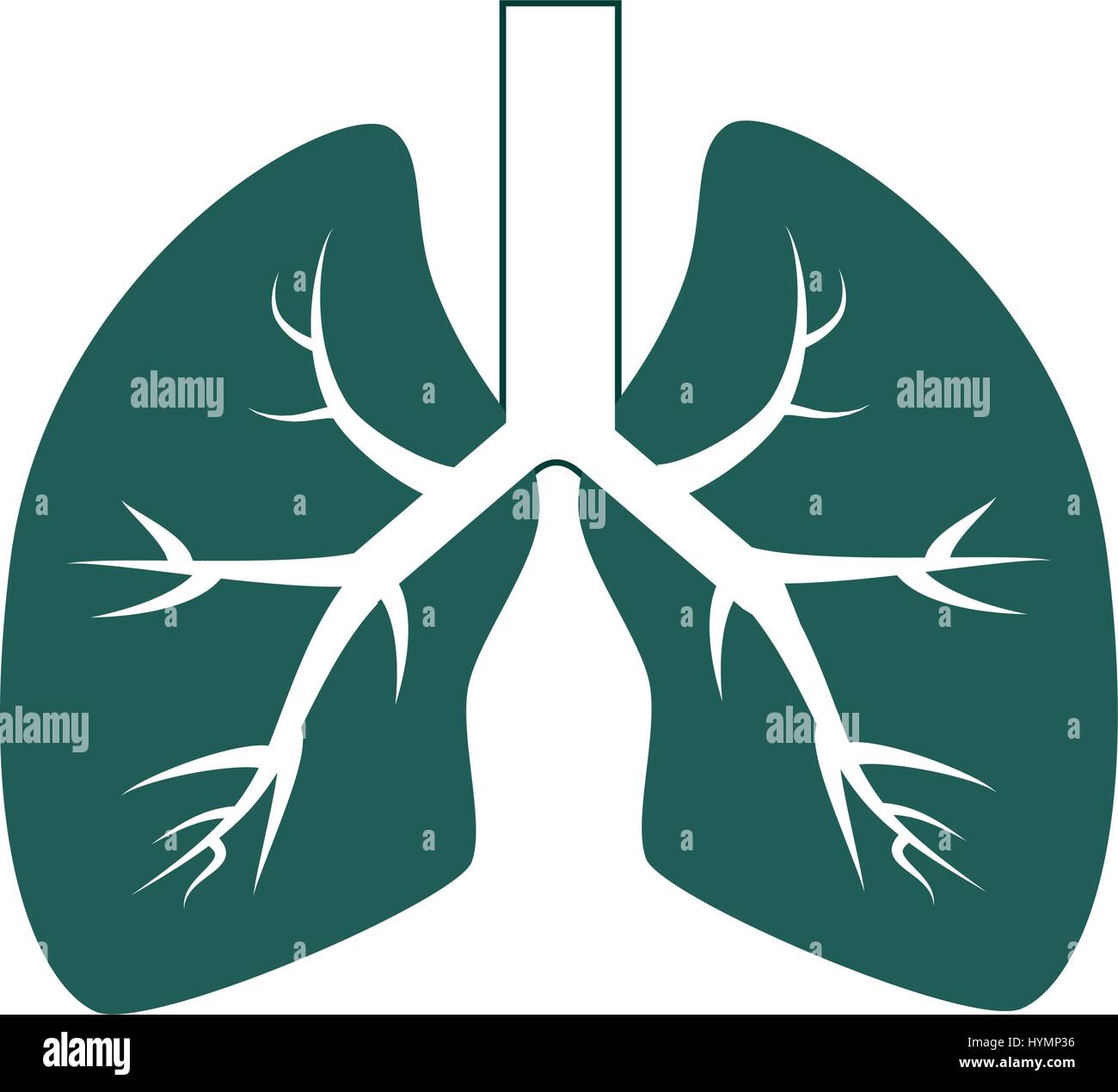 human figure with lungs vector illustration design Stock Vector Image ...