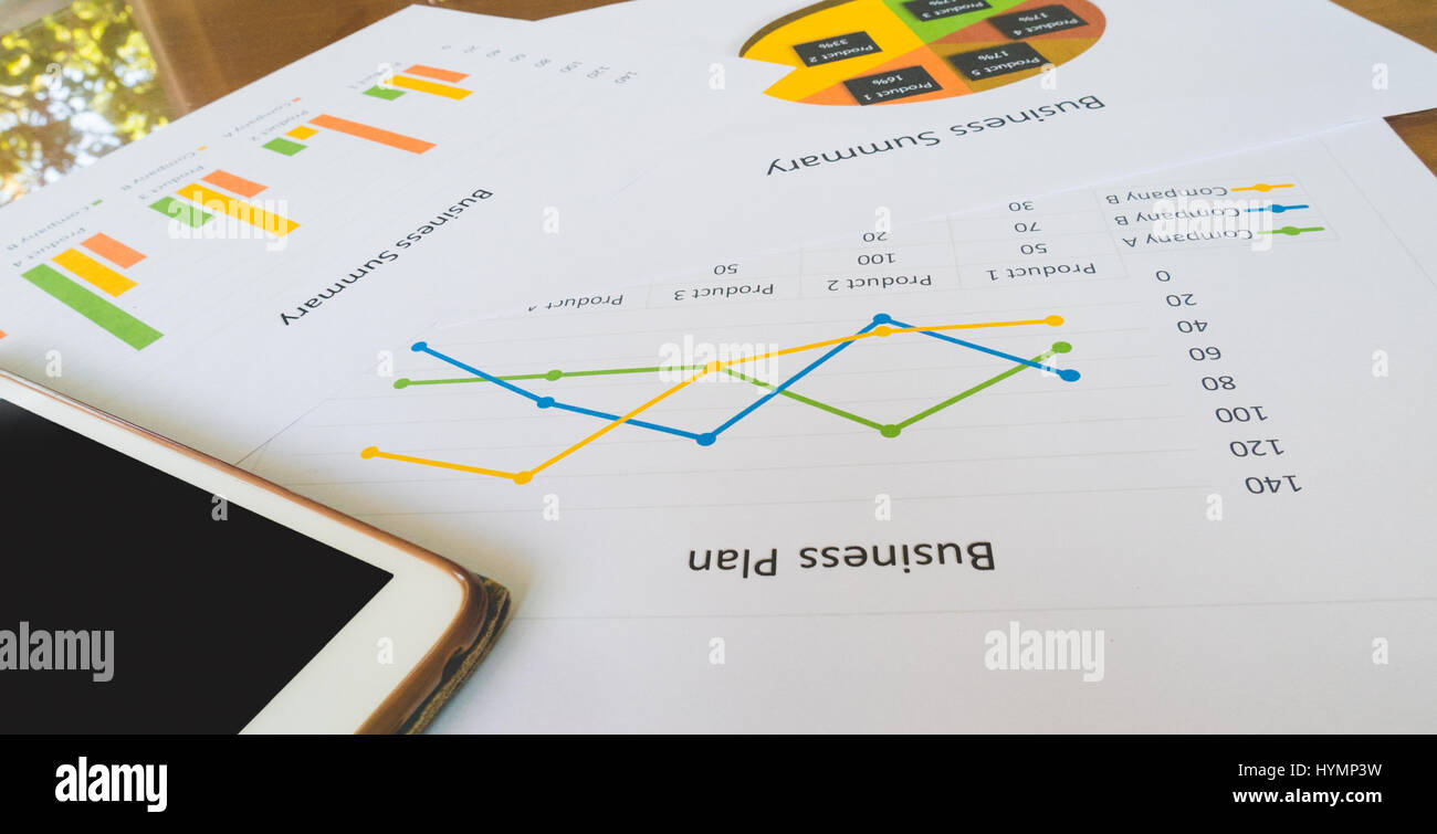 Business summary or Business plan report with Charts and graphs in ...