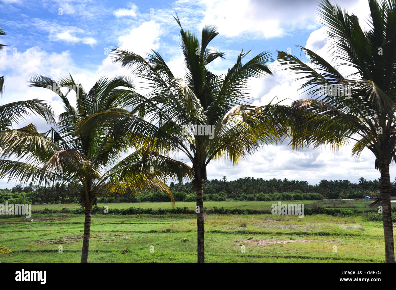This beautiful land is rightly called the paradise, given to its lush ...
